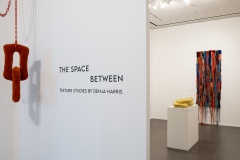 The Space Between: Texture Studies by Denja Harris | Oceanside Museum of Art | OMA