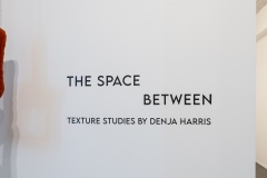 The Space Between: Texture Studies by Denja Harris | Oceanside Museum ...