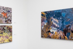 Connie Jenkins: Intertidal | Oceanside Museum of Art | OMA