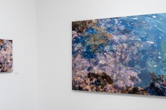 Connie Jenkins: Intertidal | Oceanside Museum of Art | OMA