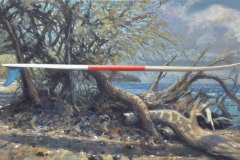 Surf Art | Oceanside Museum of Art | OMA