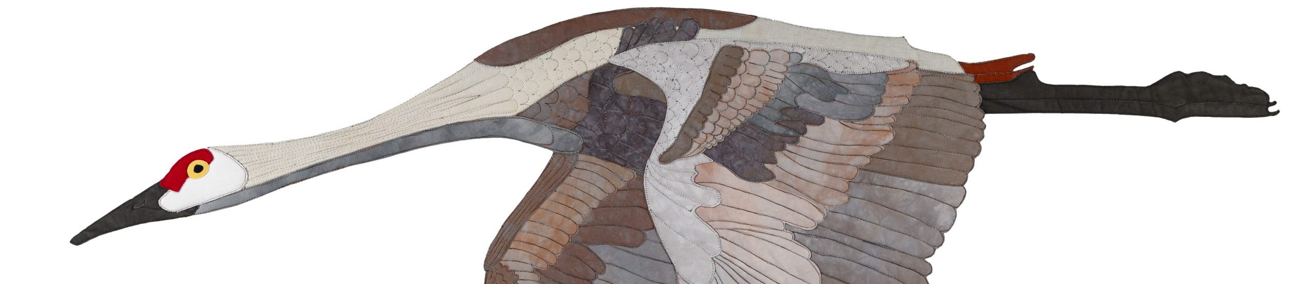 Charlotte Bird Audio | Oceanside Museum of Art | OMA