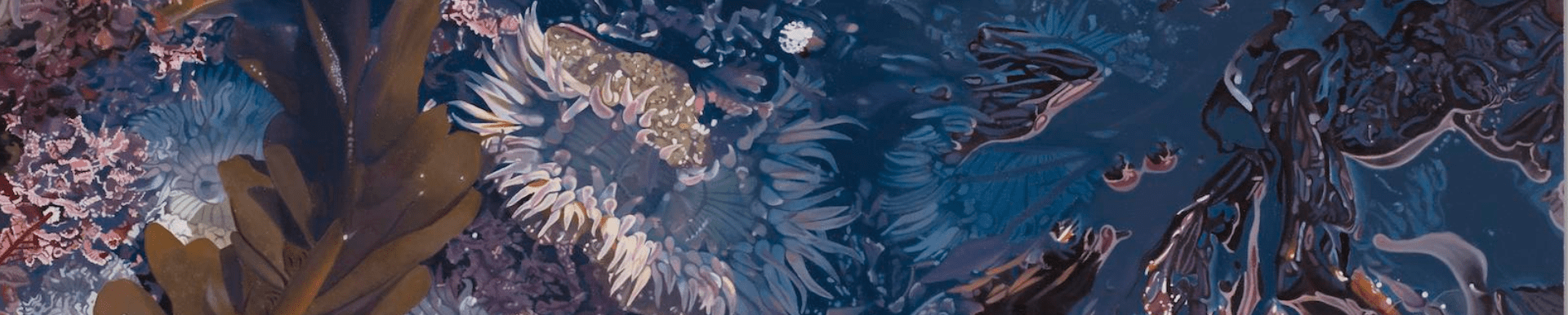 Headers Tumblr Vintage